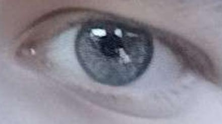 What Shade Of Gray Scrolller