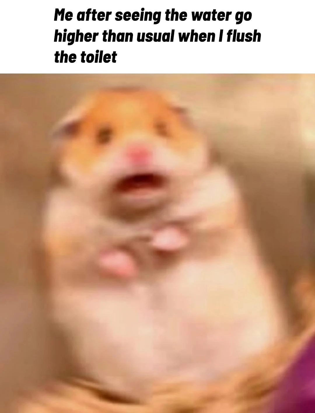 Worst nightmare | Scrolller