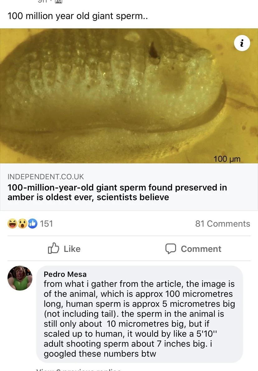 [OFF-SITE] The visual here is absolutely breathtaking! | Scrolller