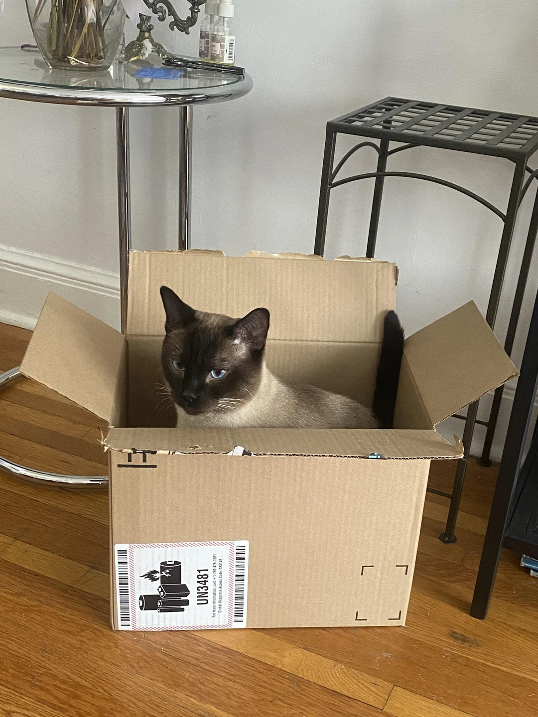 i didn’t order this? return to sender!!! | Scrolller