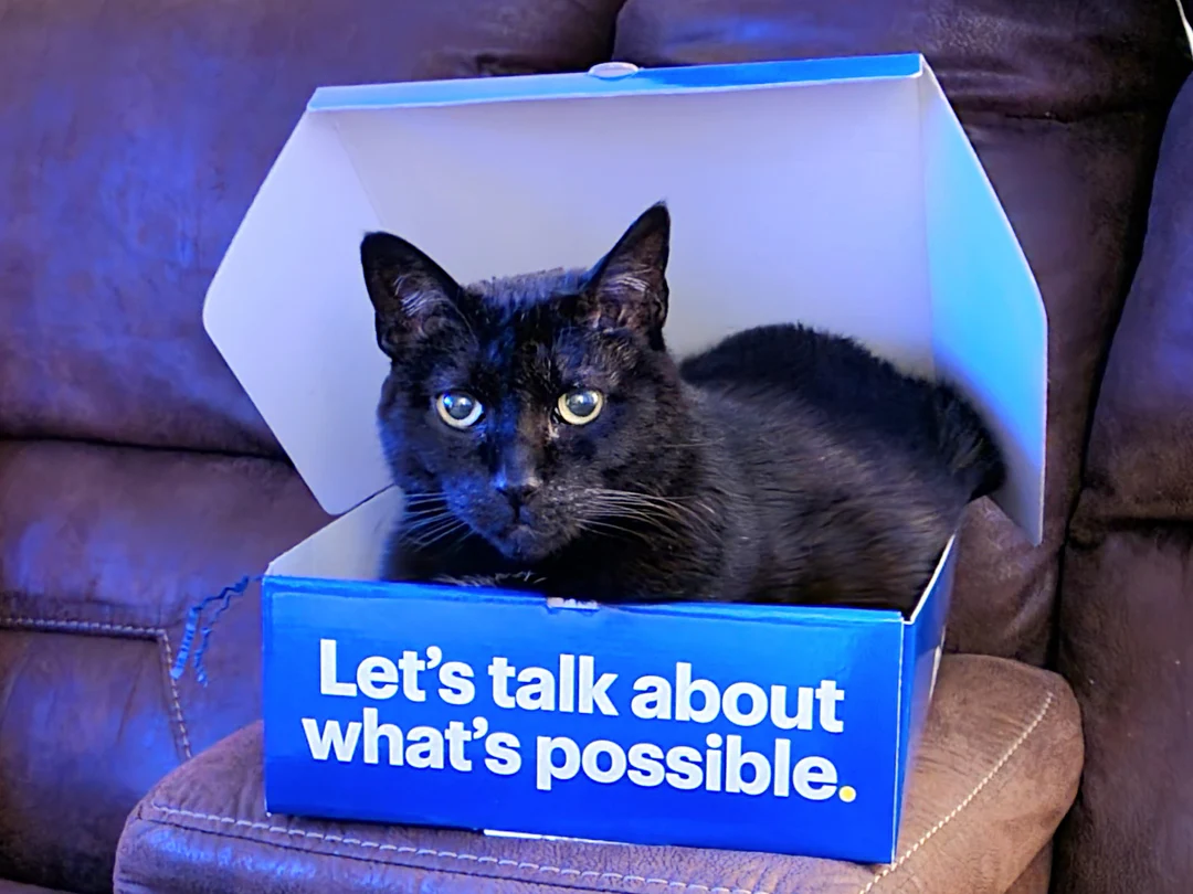 fitting is always possible | Scrolller