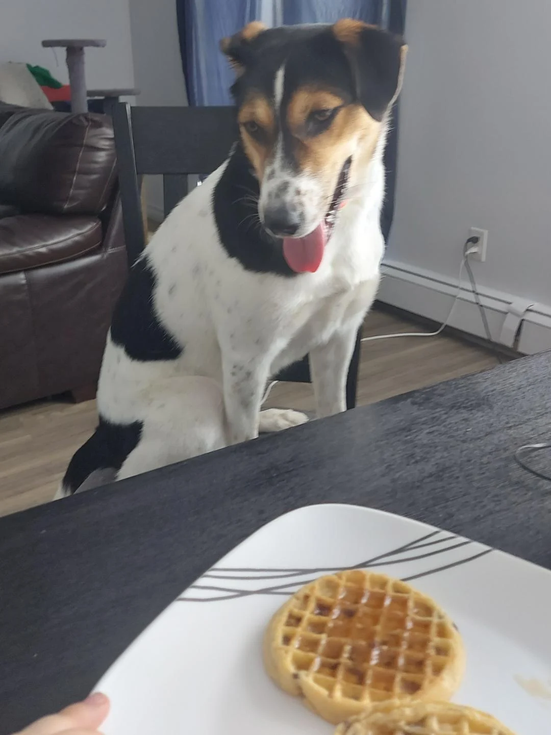 Just a baby learning table manners. | Scrolller
