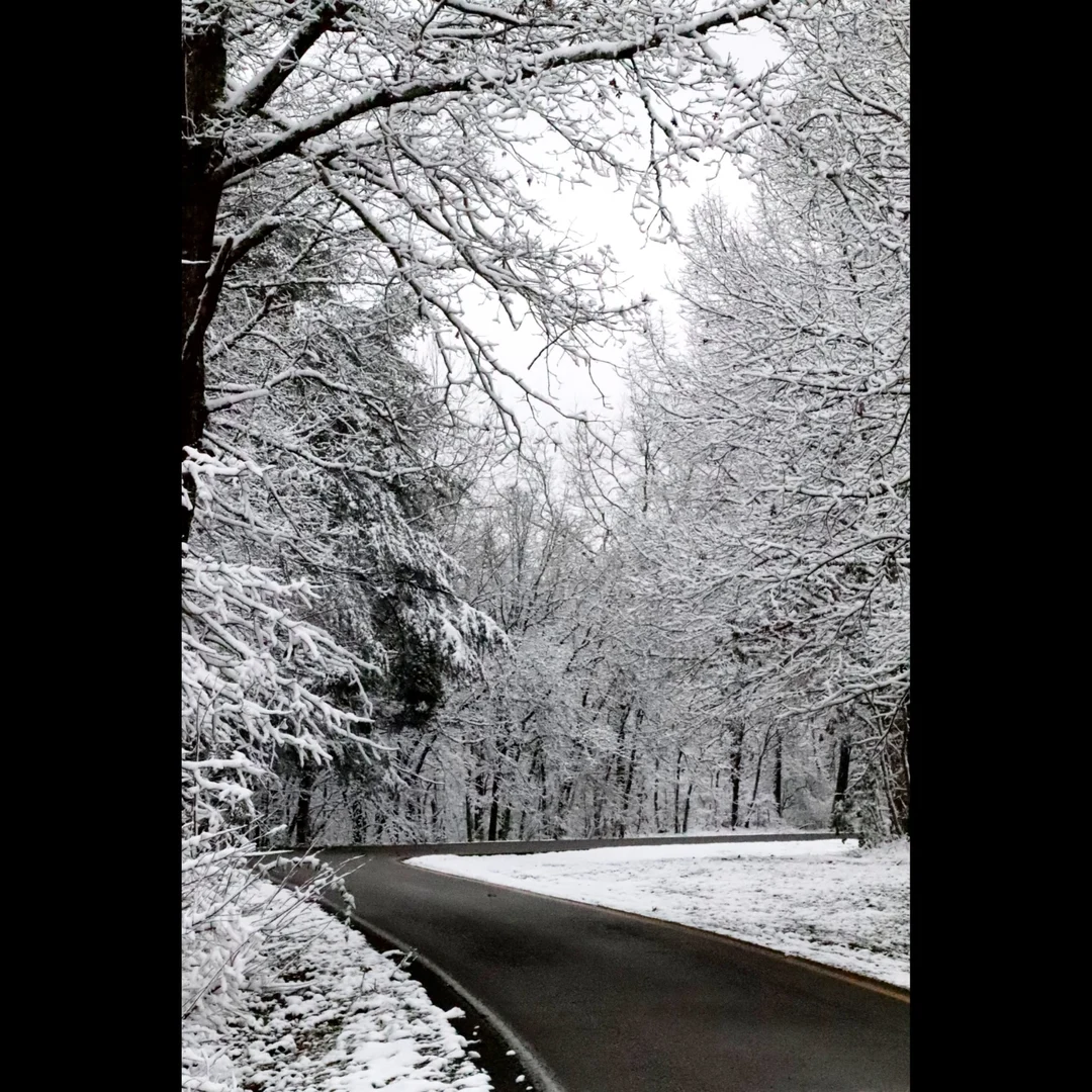 Road trips in winter are the best | Scrolller