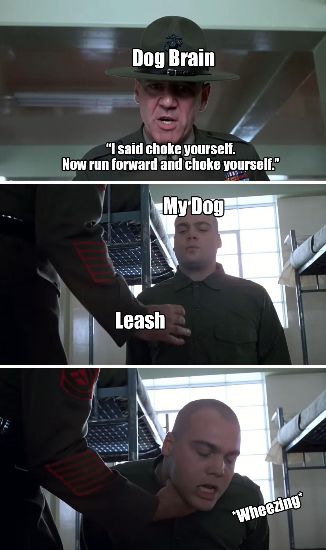 Inspired by my lovable idiot. | Scrolller