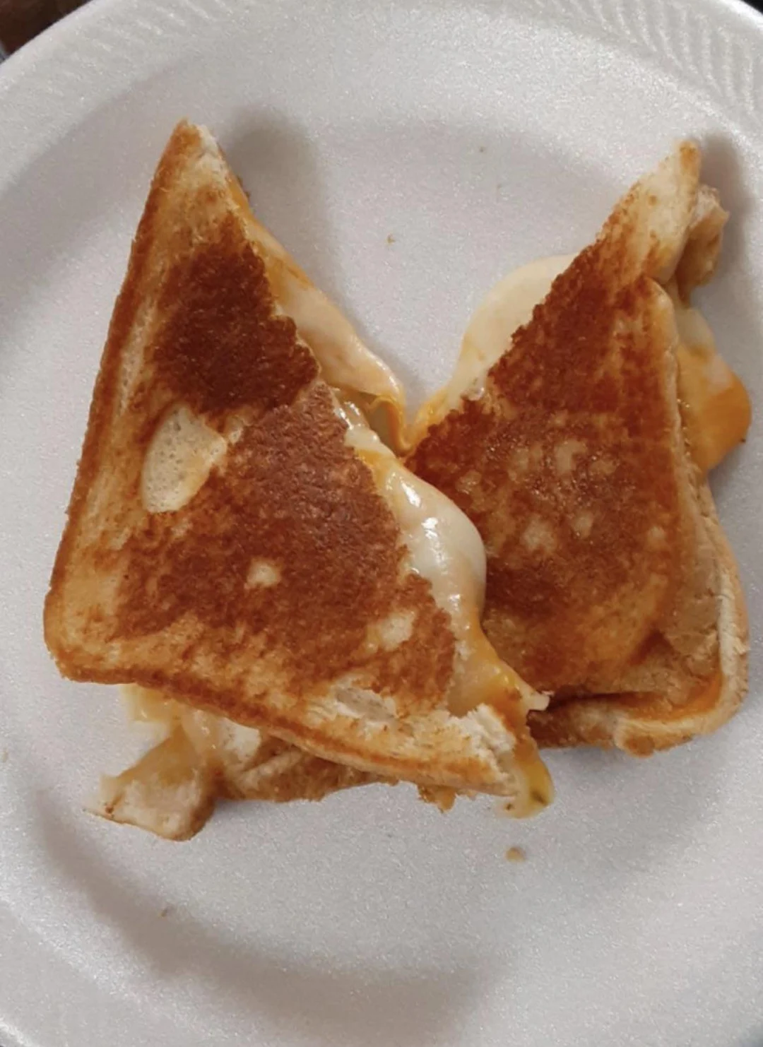 Ignore the foam plate… | Scrolller