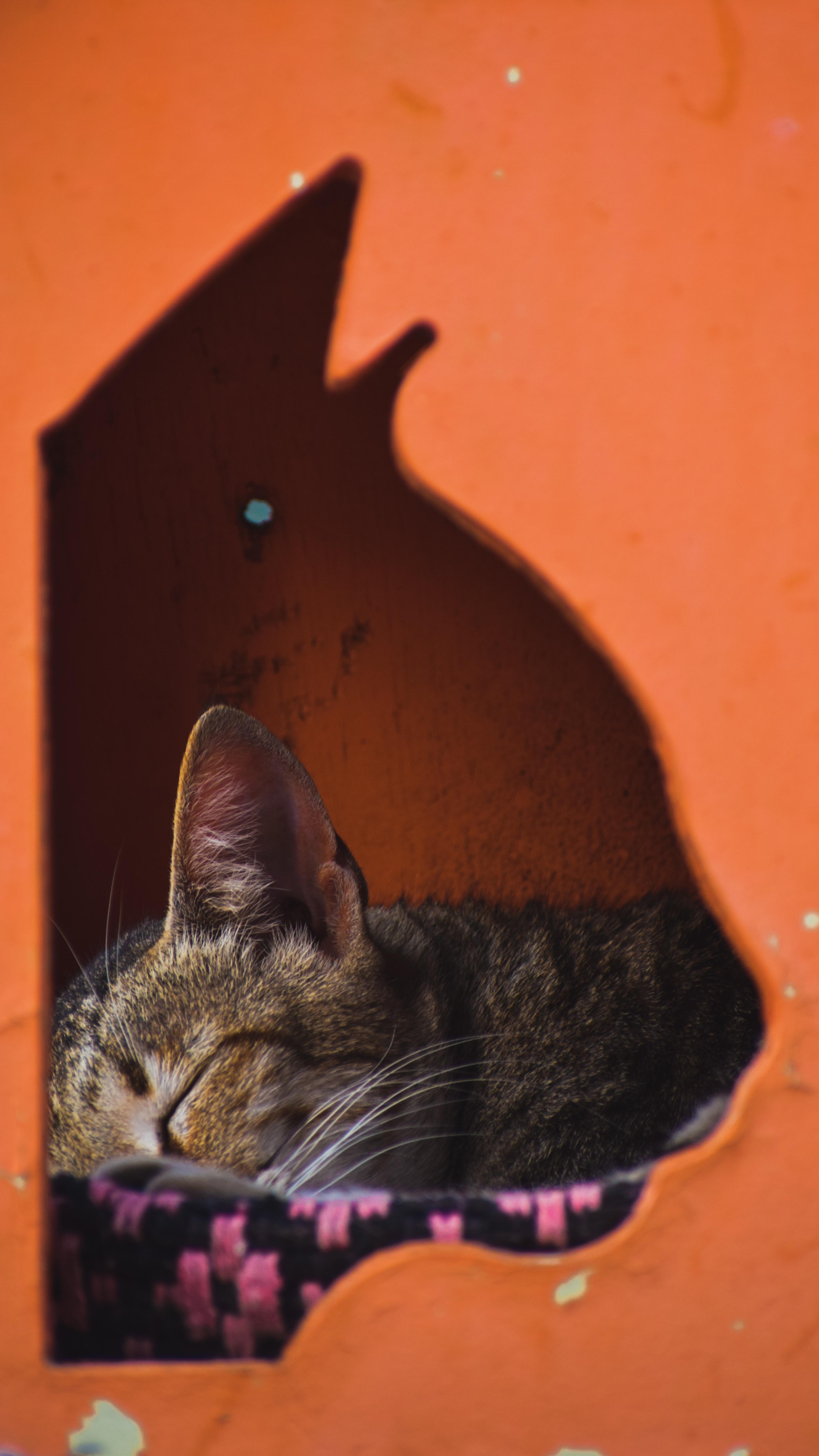 Charging | Scrolller