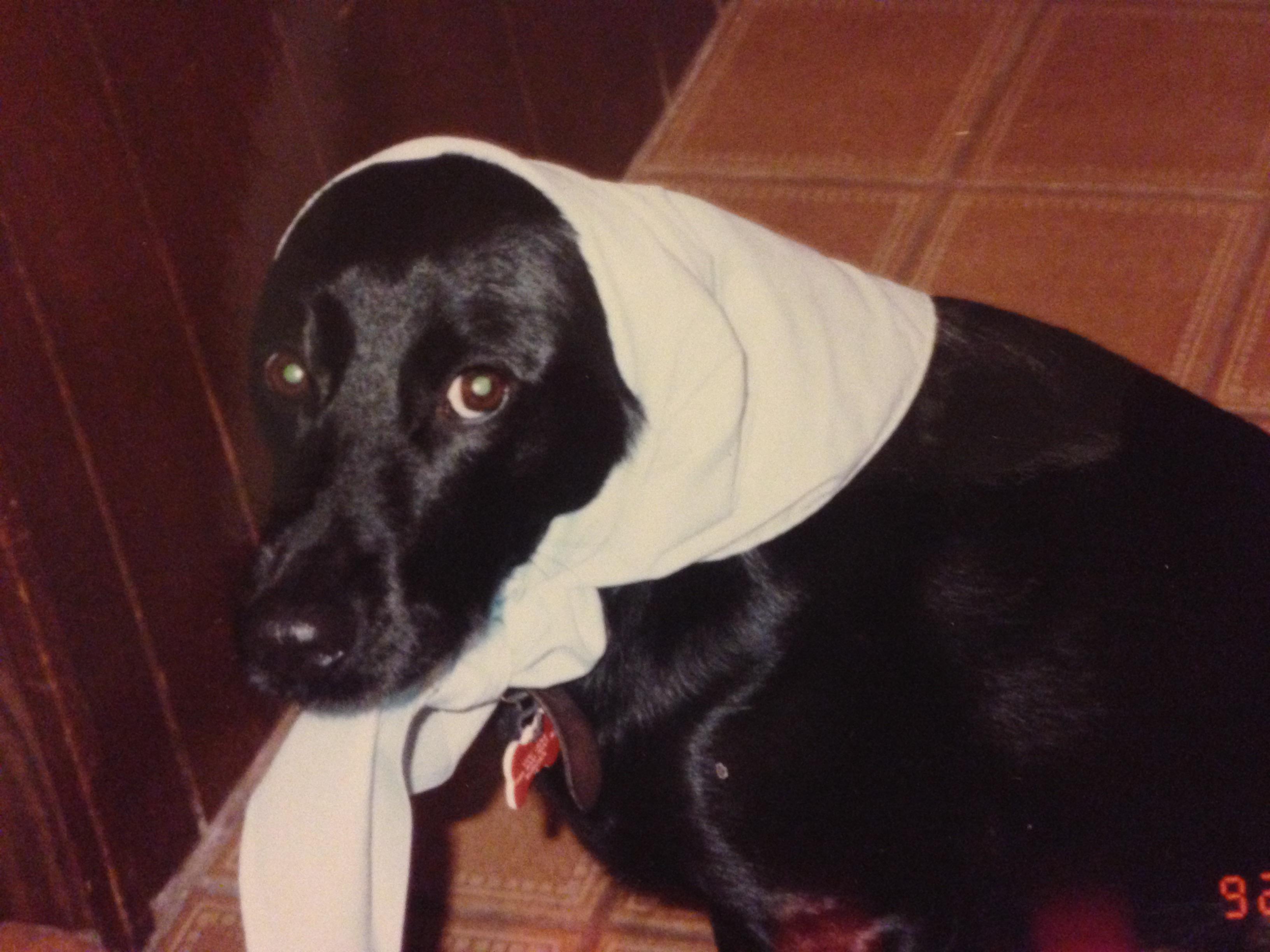 90's throwback | Scrolller