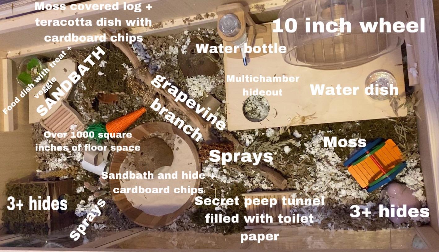 New enclosure 💕 | Scrolller