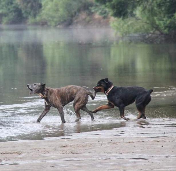 The trouble maker | Scrolller