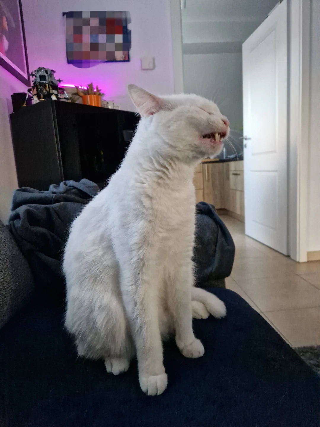 His little face while sneezing | Scrolller