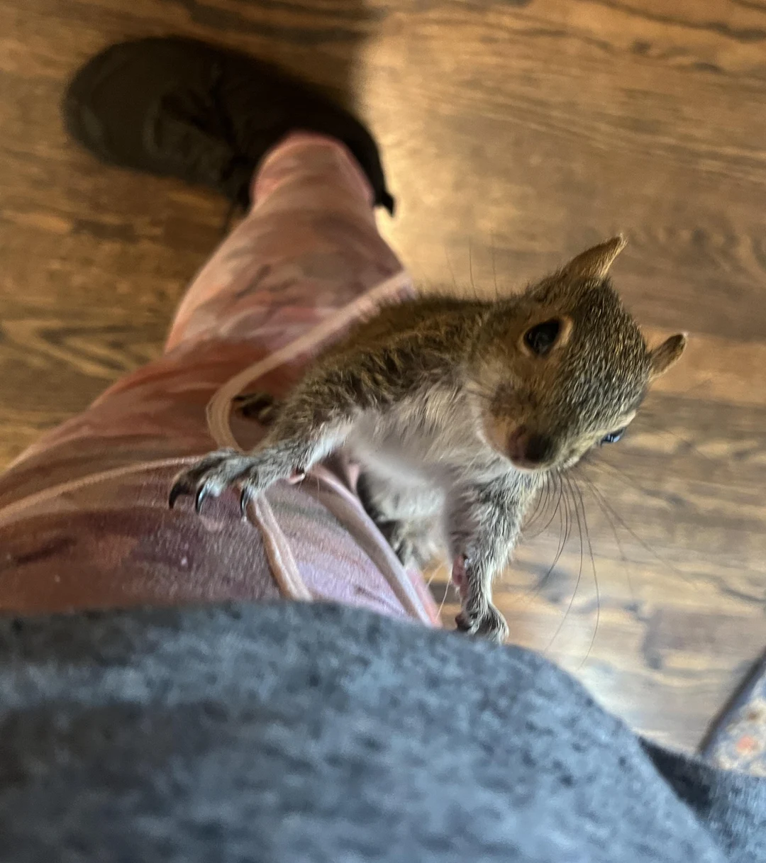 Distracted eating? | Scrolller