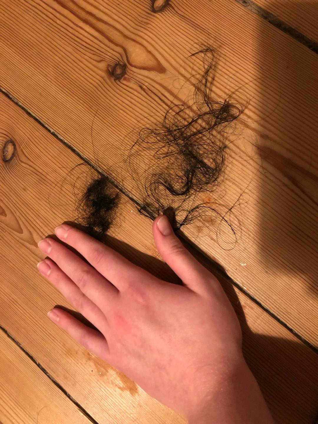 Is this normal? | Scrolller