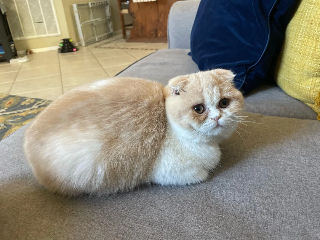 loaded up | Scrolller