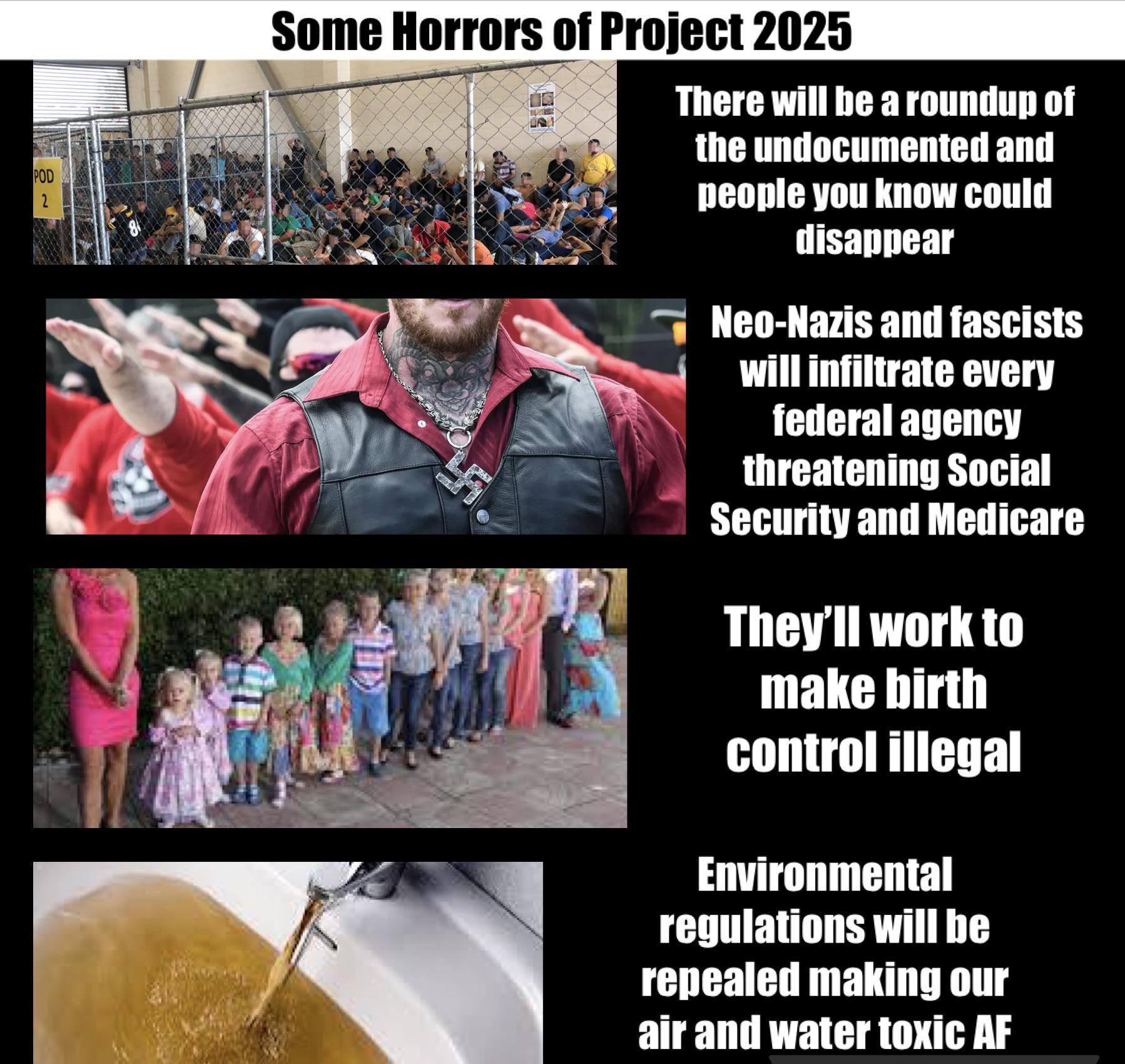 Project 2025 Infograph | Scrolller