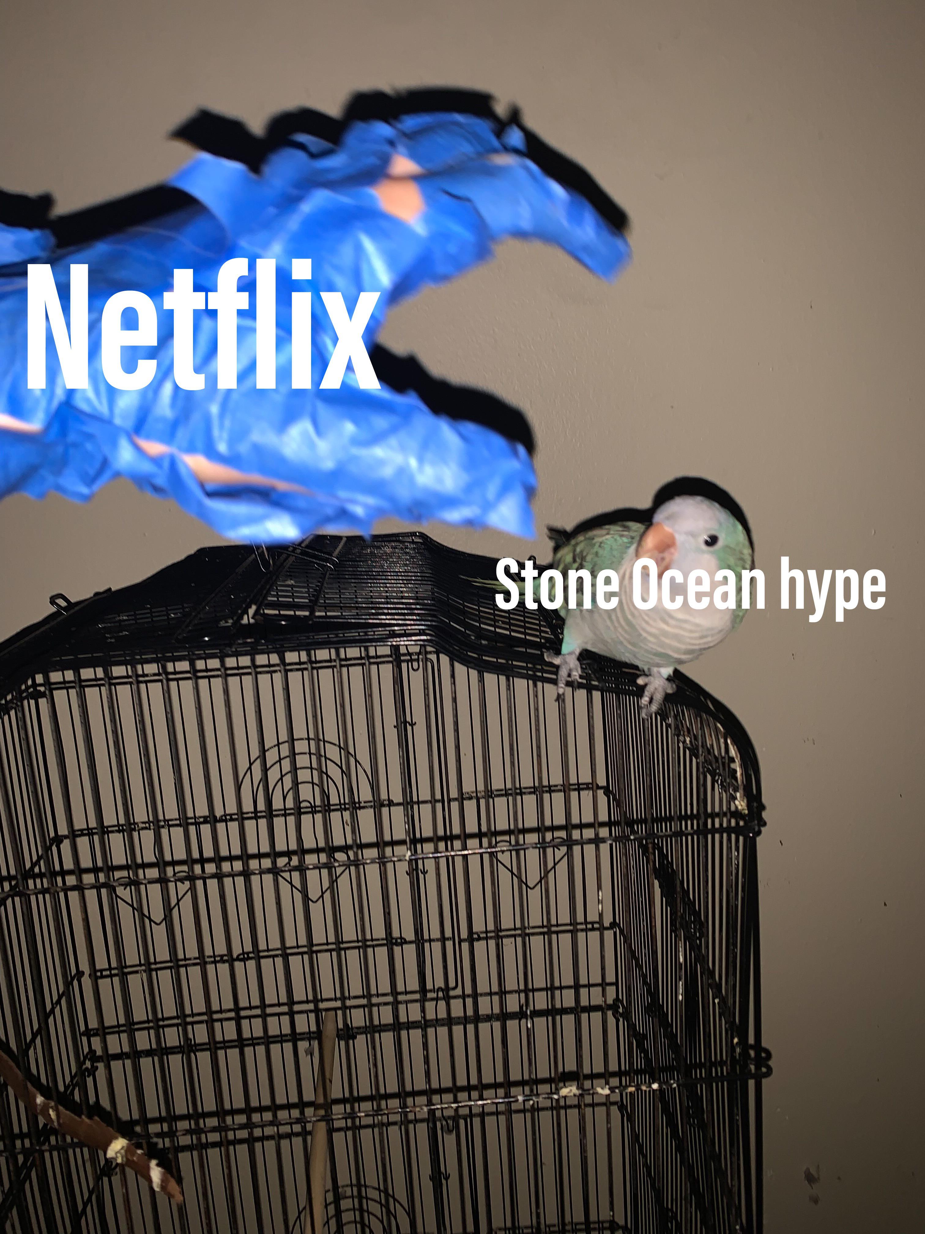 netflix killed stone ocean | Scrolller