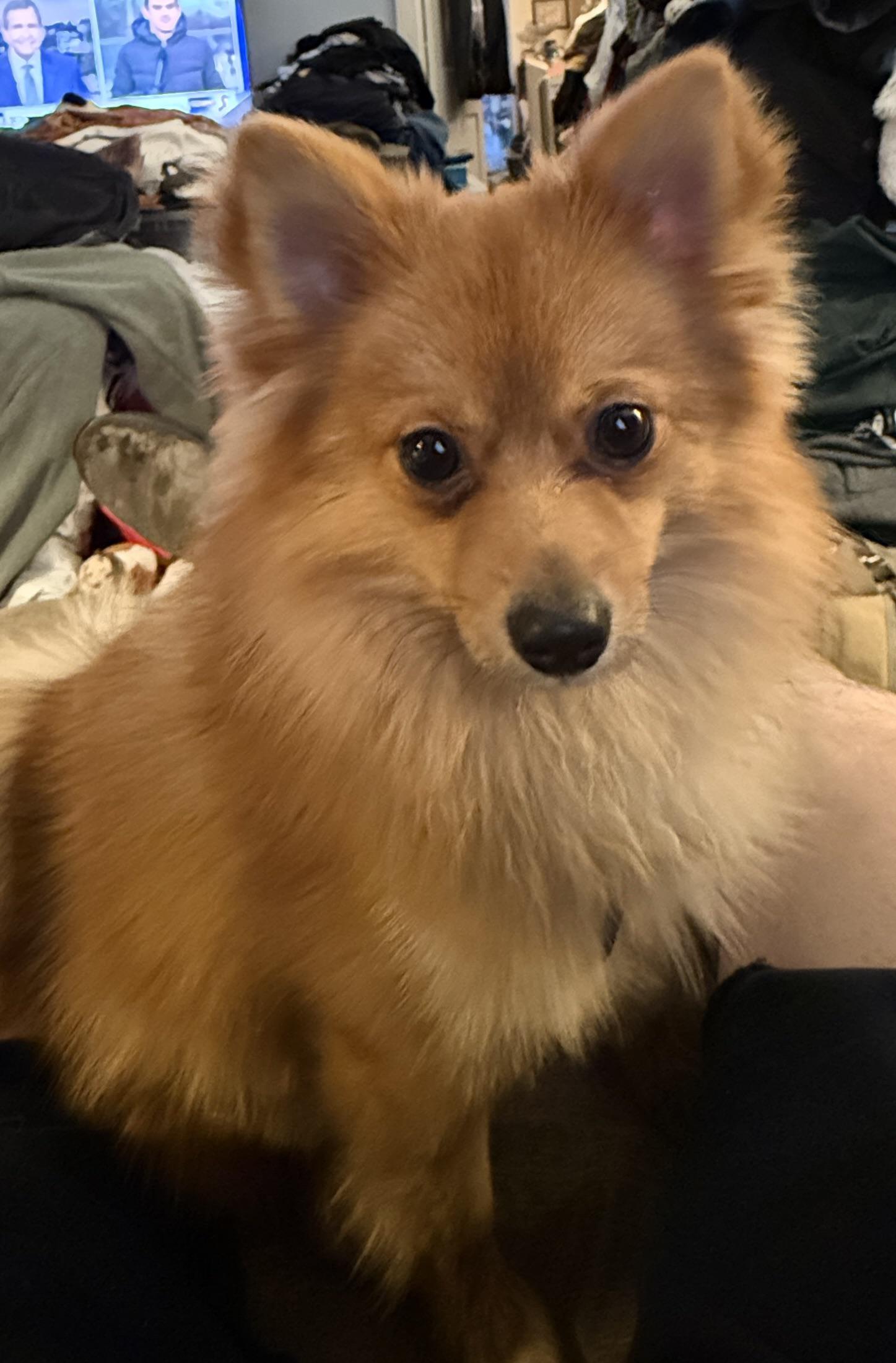 Officially a throwback | Scrolller