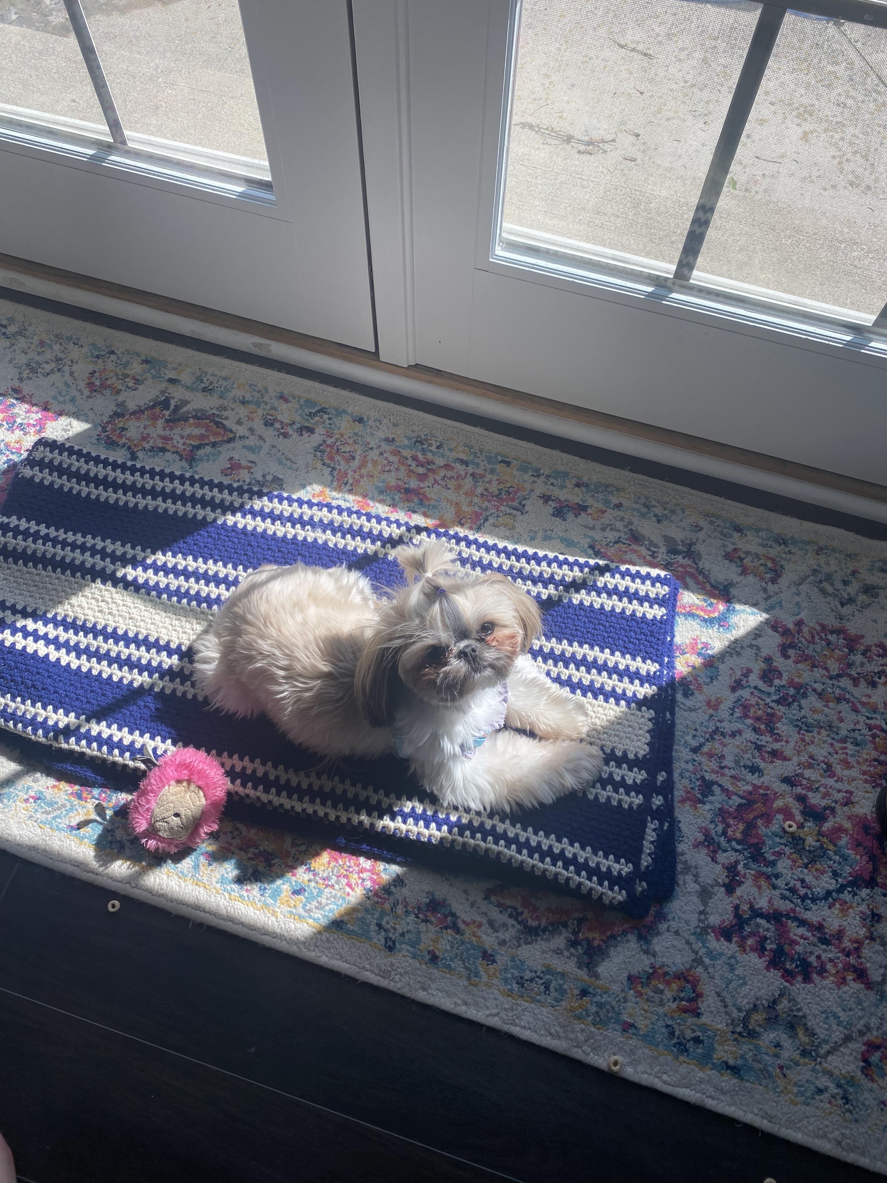 Little Easter loaf sun bathing 🐰💐🎀 | Scrolller