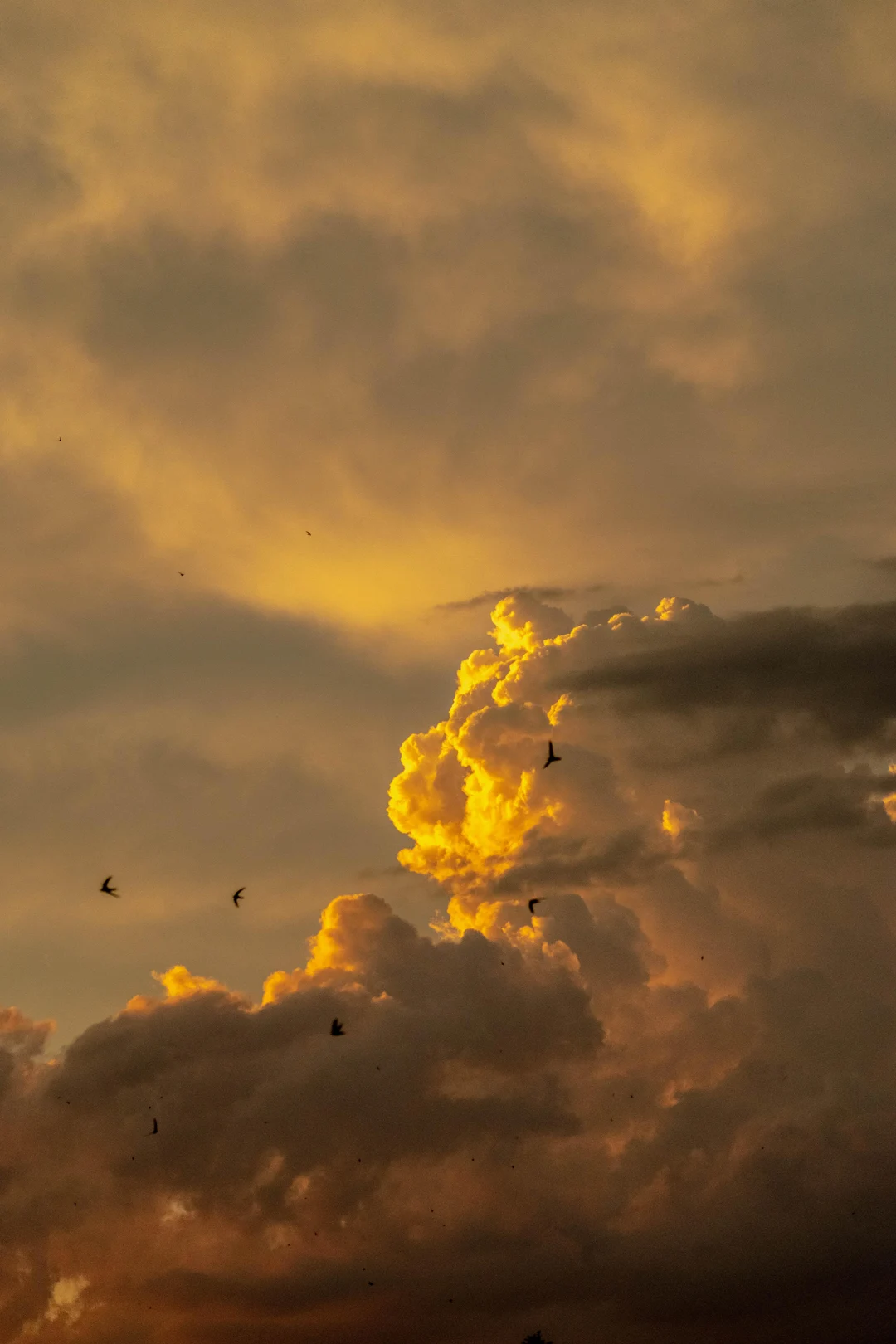 Last summer, from my window. I was blown away | Scrolller