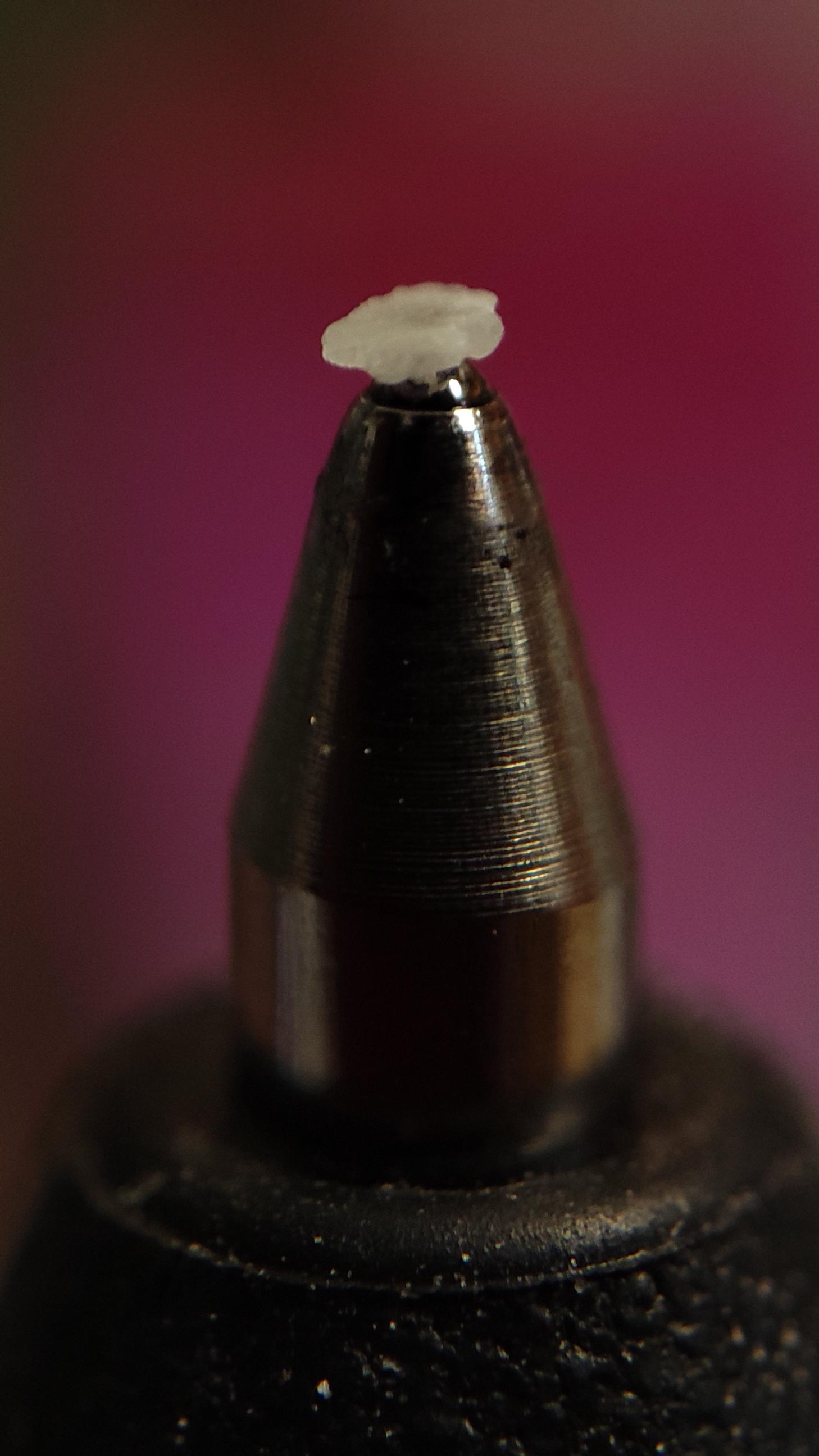 A grain of salt balanced on the tip of a ballpoint pen | Scrolller