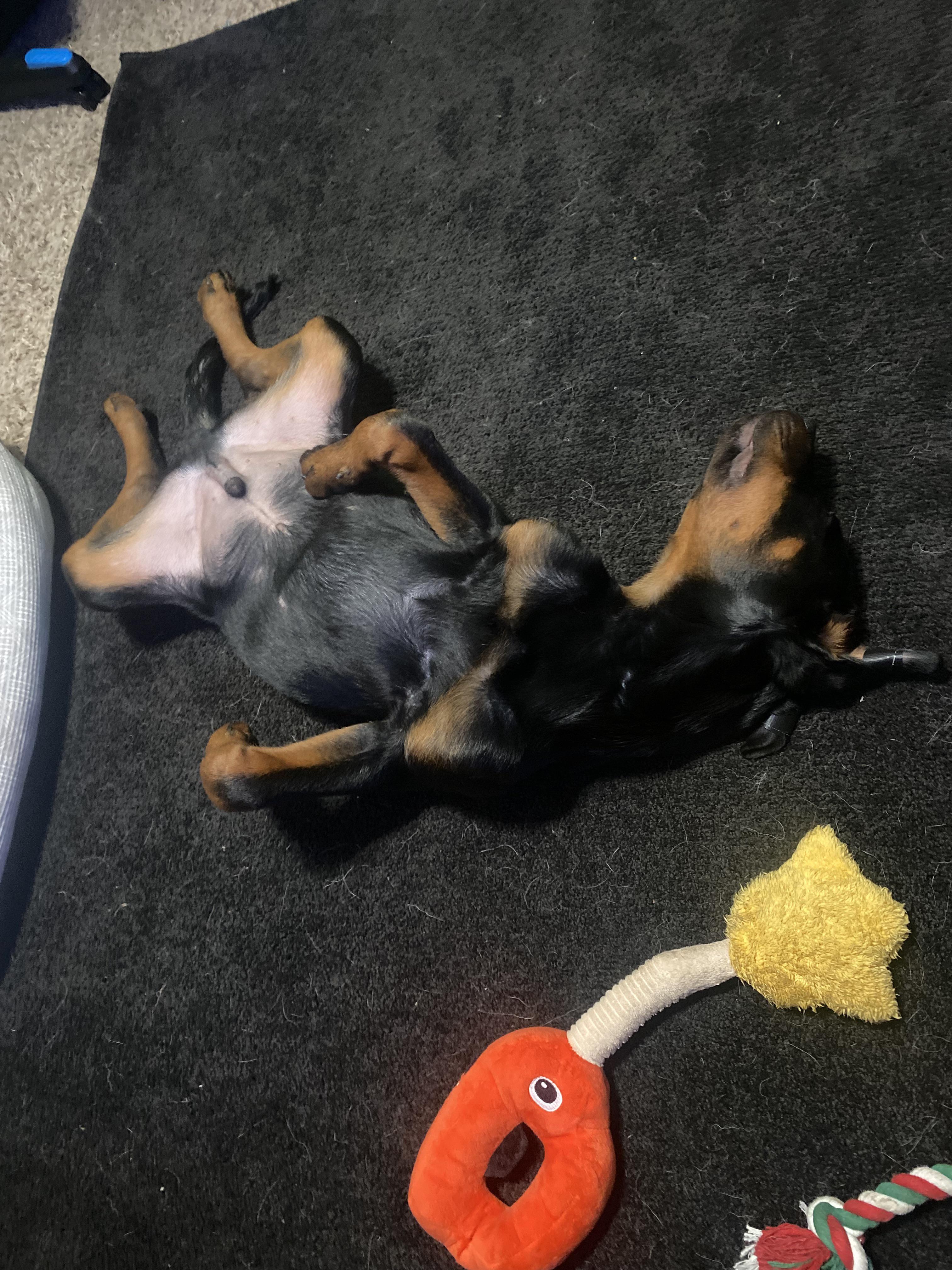 So indecent | Scrolller