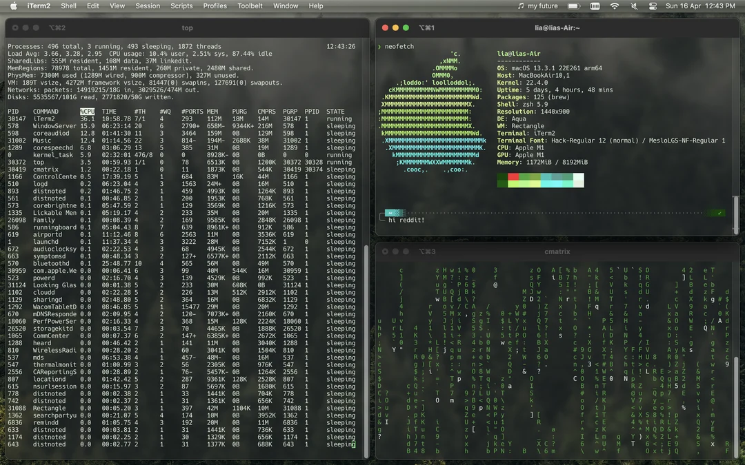 [Rectangle] Beginner Mac OS Rice *green* | Scrolller
