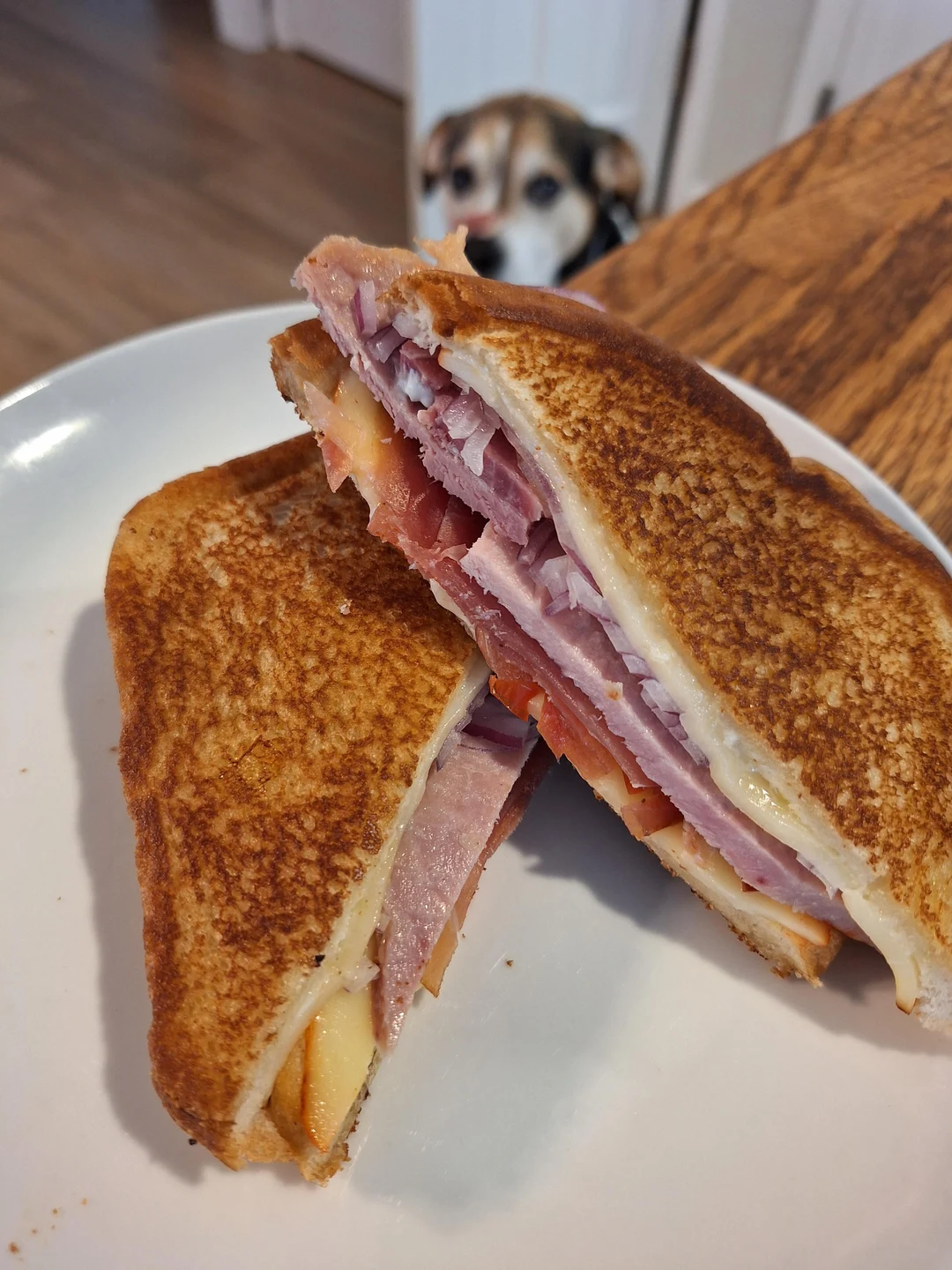 Jamon and ham grilled cheese | Scrolller