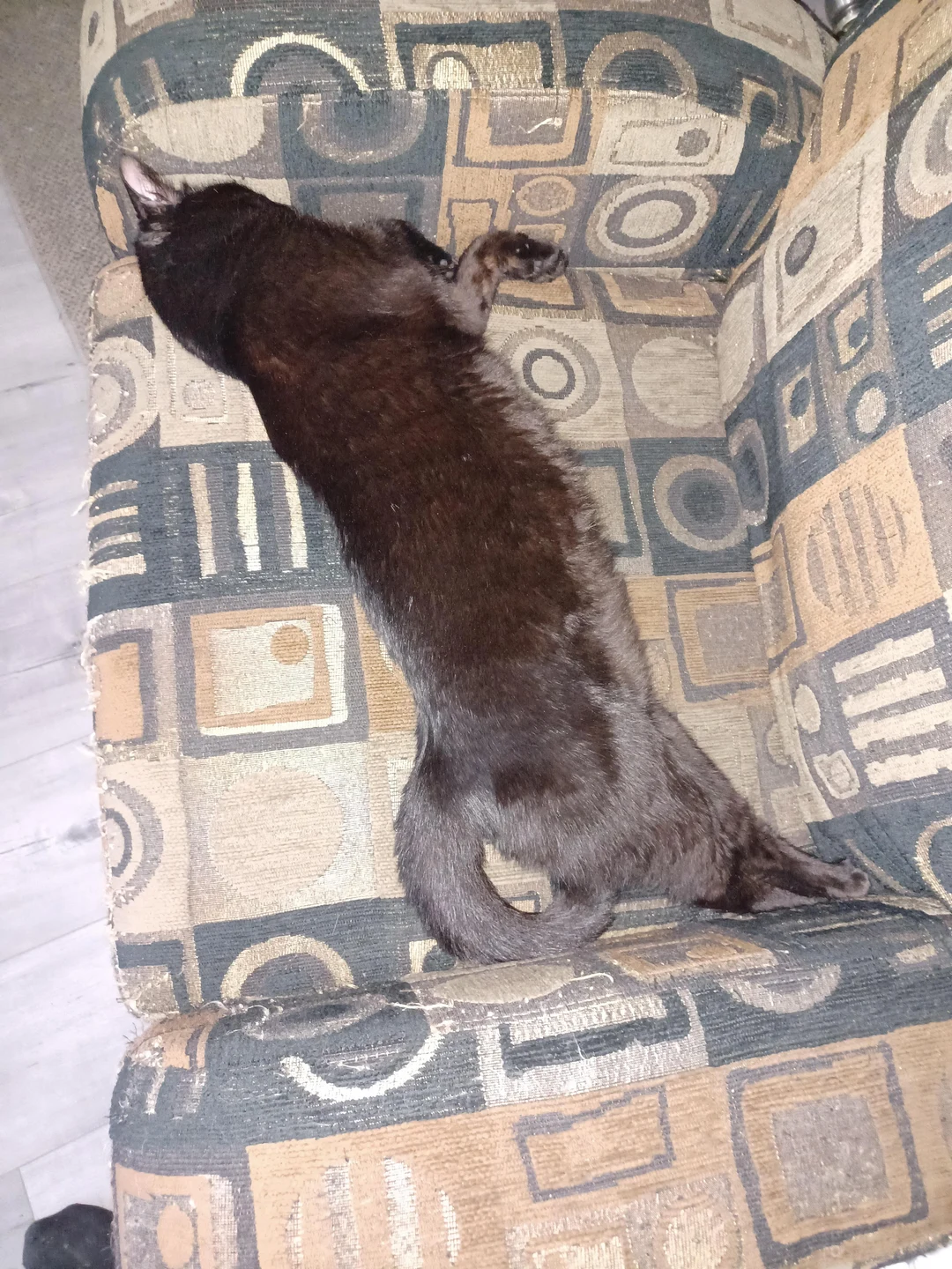 sleep derp the second | Scrolller