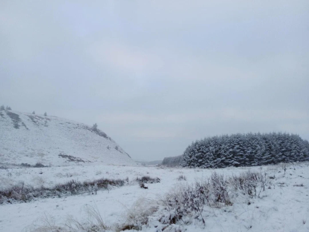 Winter hills & trees | Scrolller