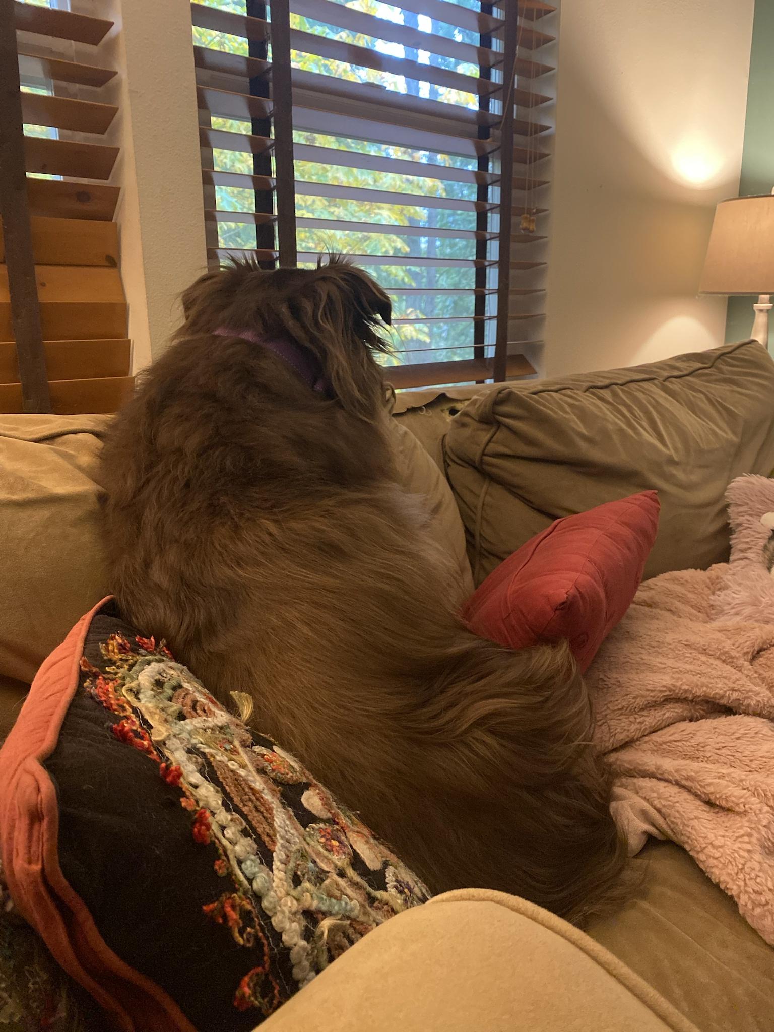 These poor unloved creatures… | Scrolller