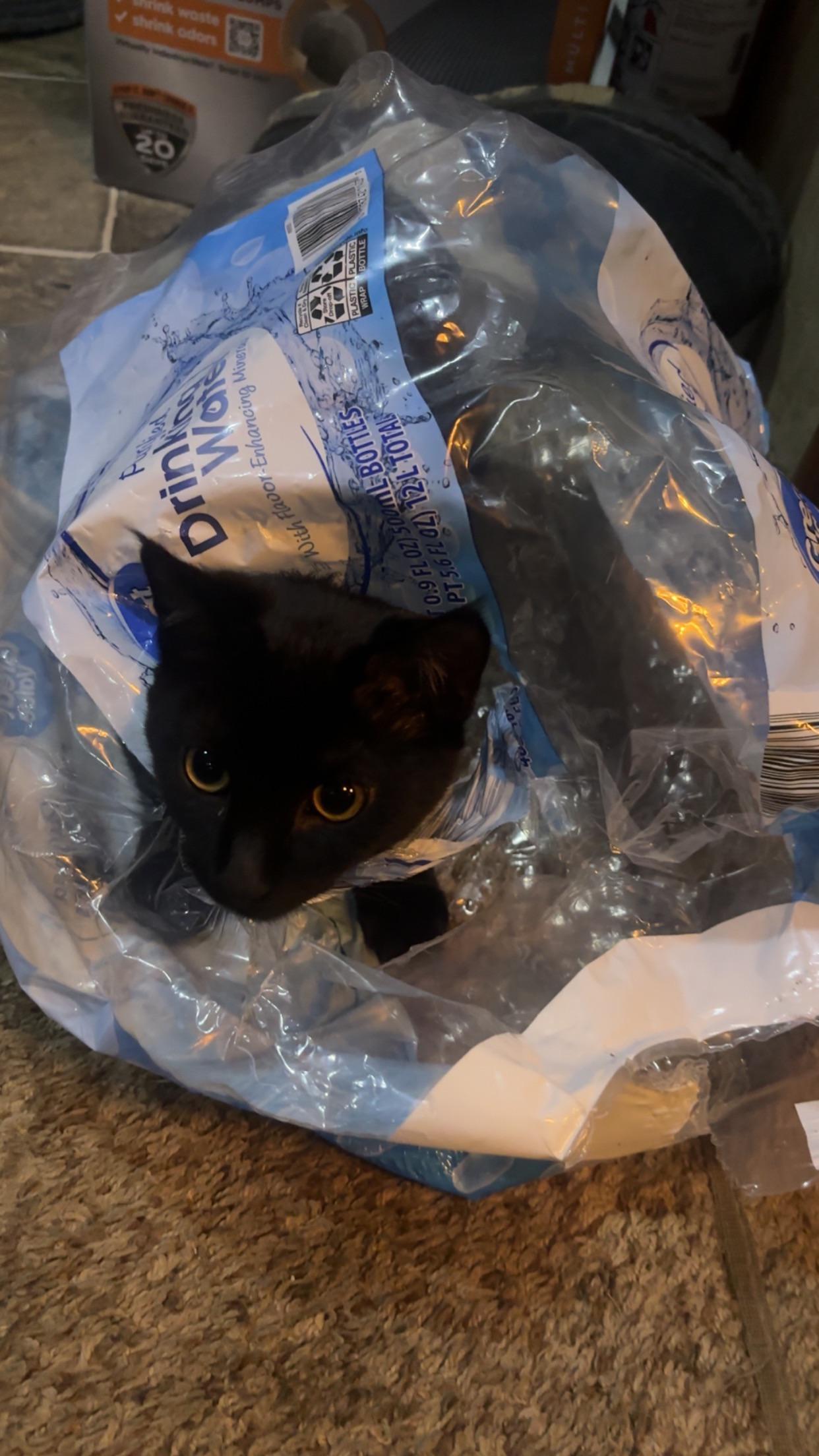 Bottled void | Scrolller