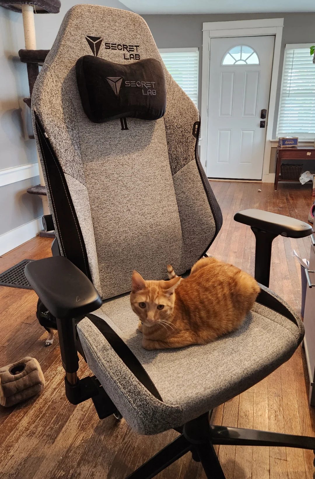 #secretlab chair arrived! | Scrolller