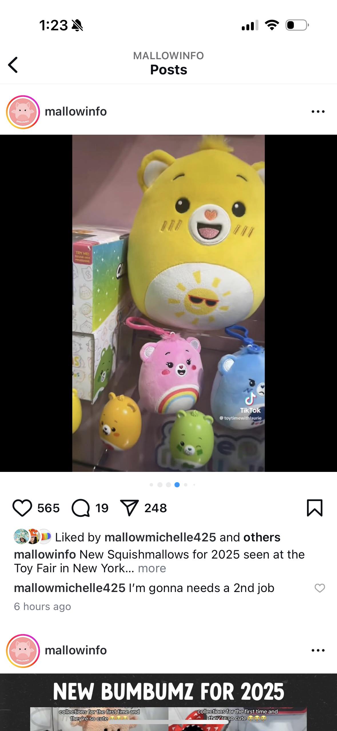 SQUISHMALLOWS ARE MAKING CARE BEARS | Scrolller