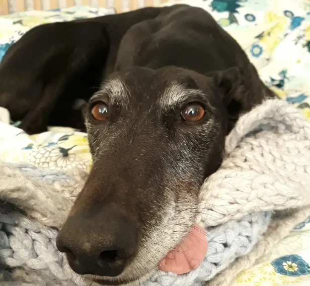 Kenny's taking over the top spot! | Scrolller