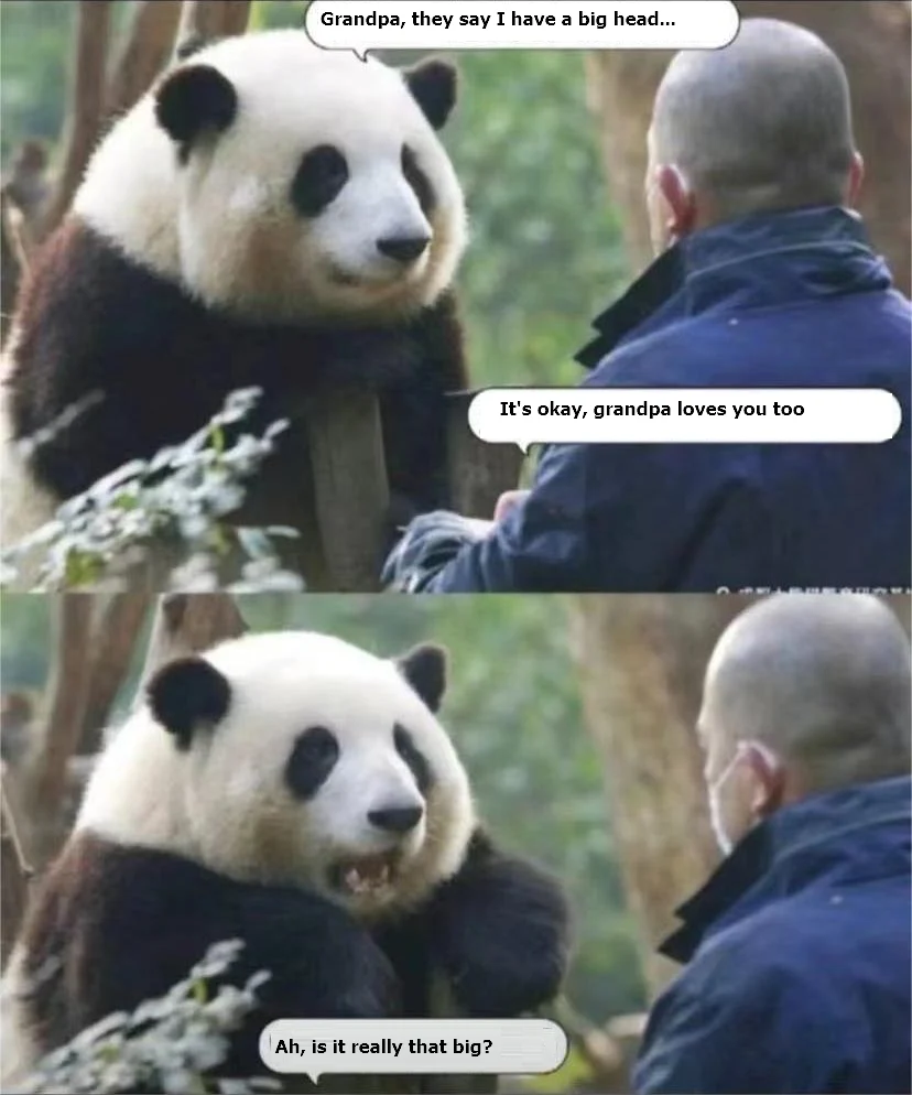 Cute Panda | Scrolller