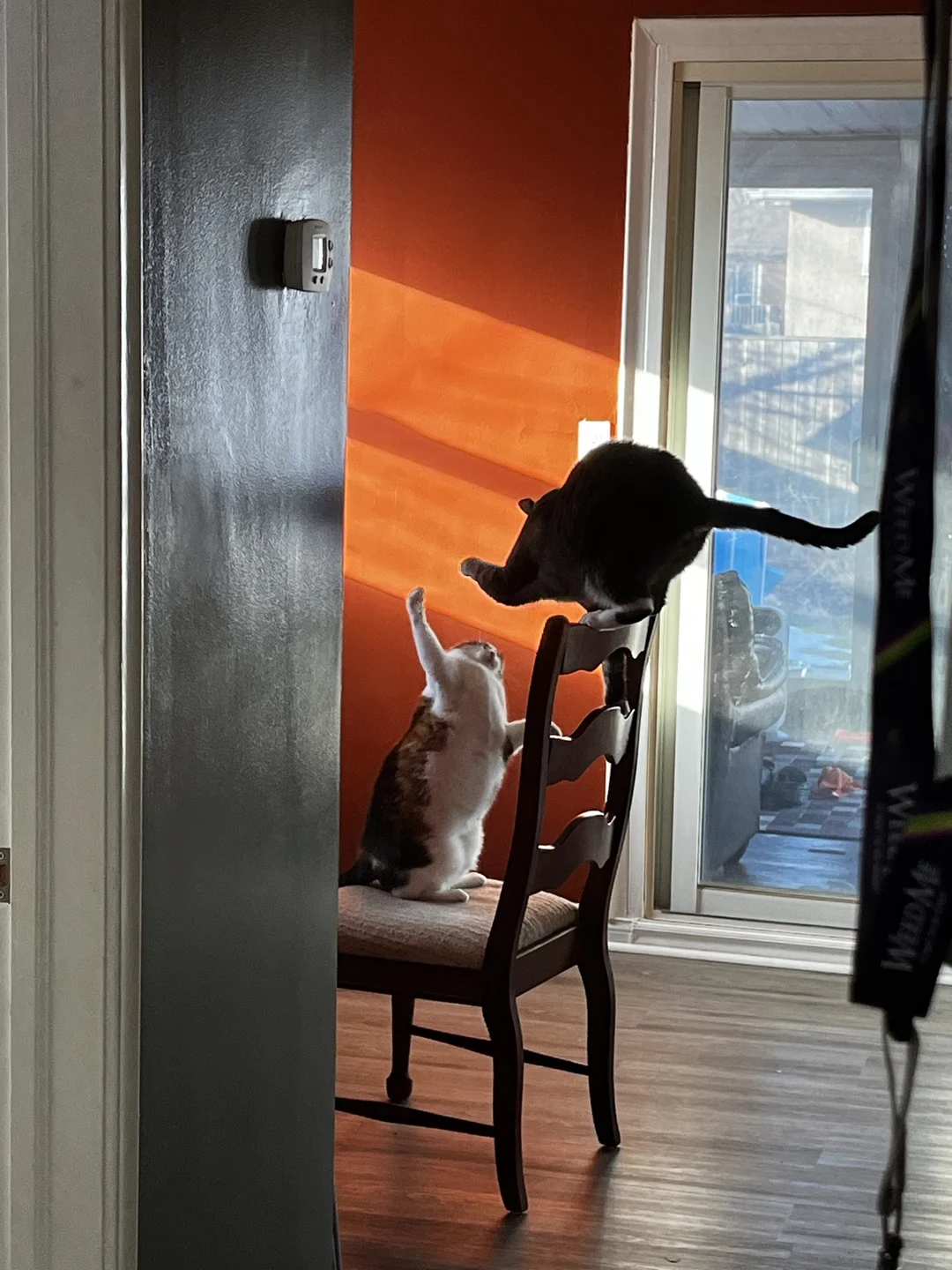 An epic scene | Scrolller