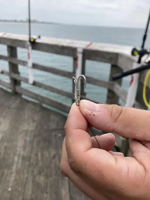 Lost my first tarpon after 20 mins hooked up and a 300+ yard run. Was estimated to be about 150 ...