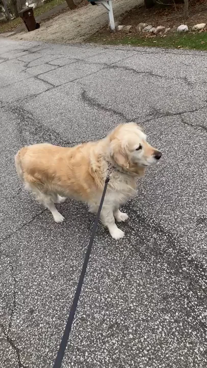 Close encounters | Scrolller