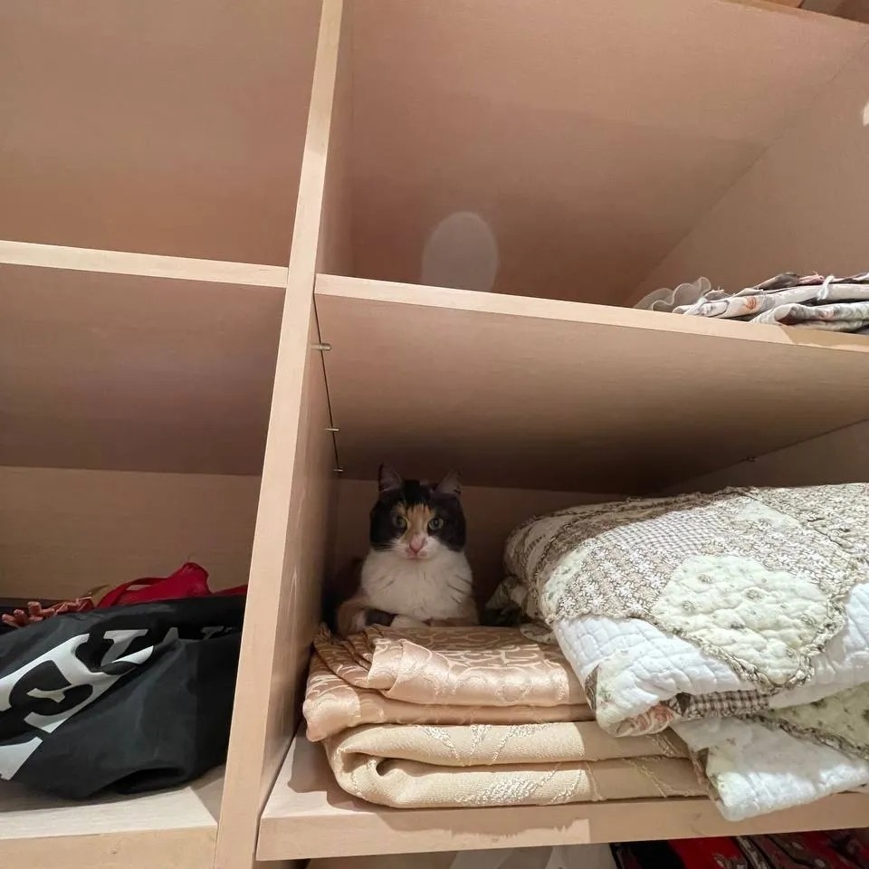 Wardrobe loaf | Scrolller