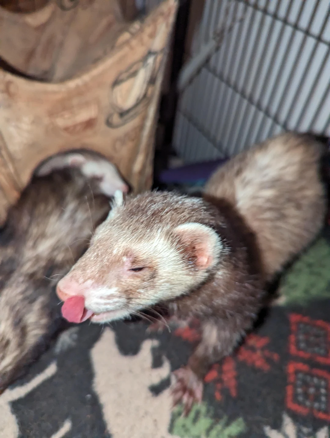 Caught Trix with a big mlem | Scrolller