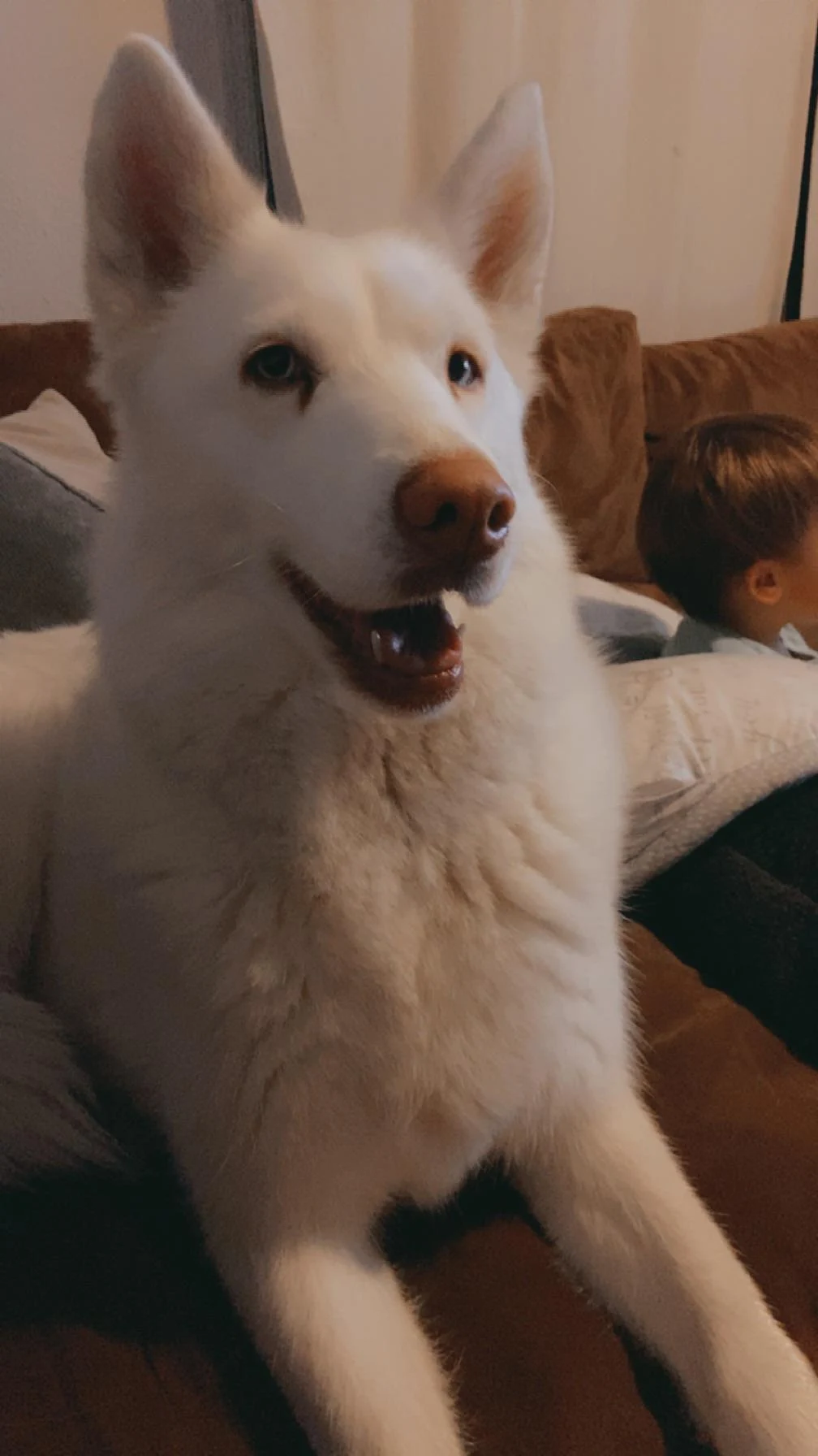 Cheesin’ | Scrolller