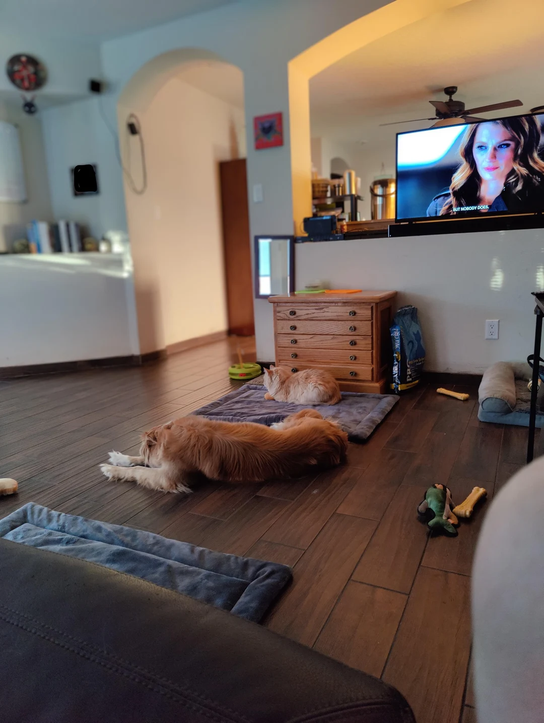 taco gives no shits | Scrolller