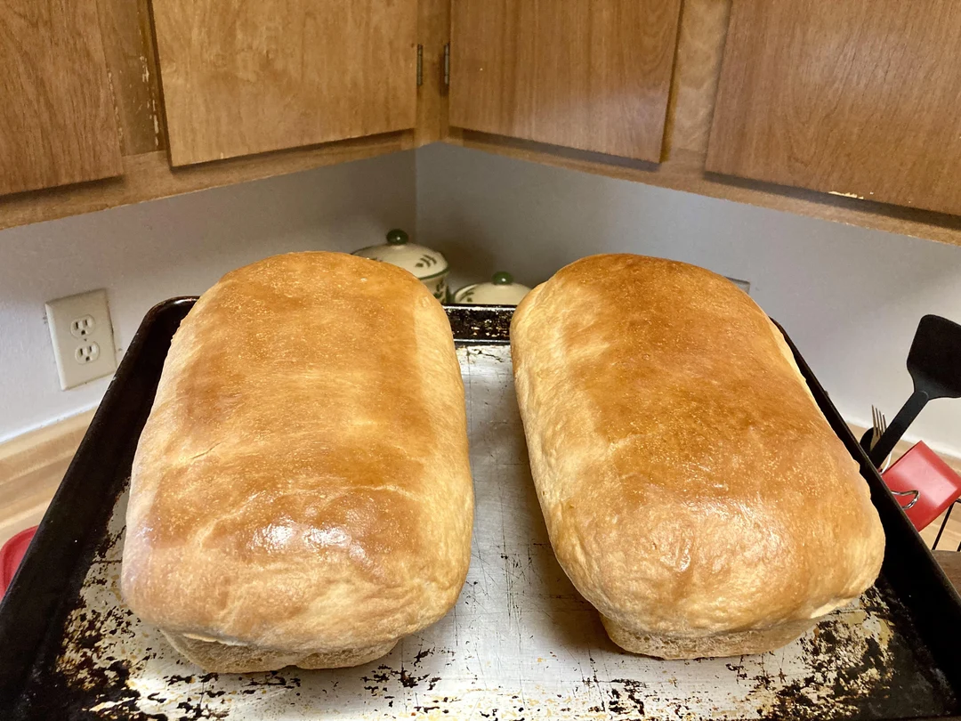 Made some sandwich bread | Scrolller