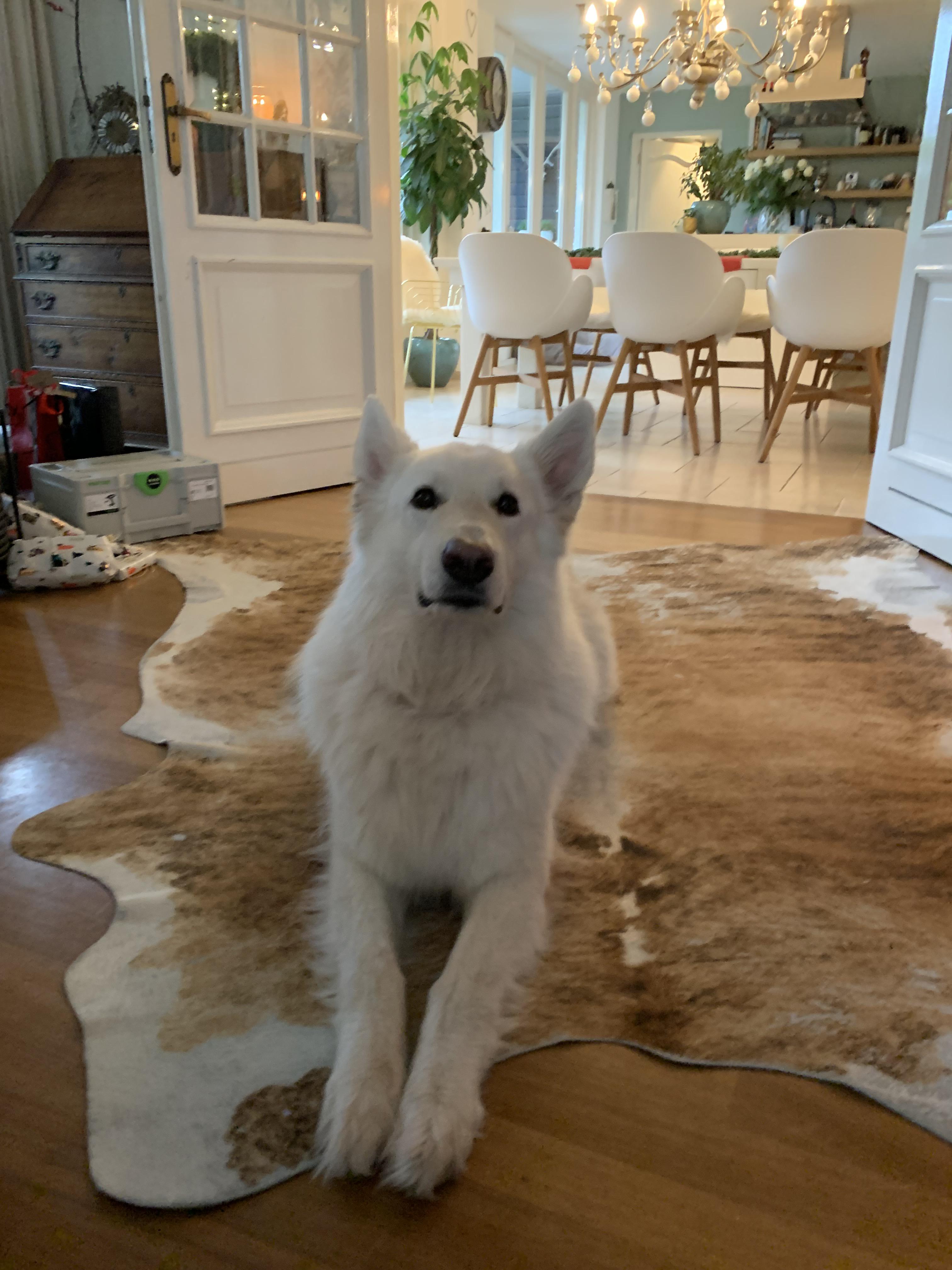 Polite baby | Scrolller