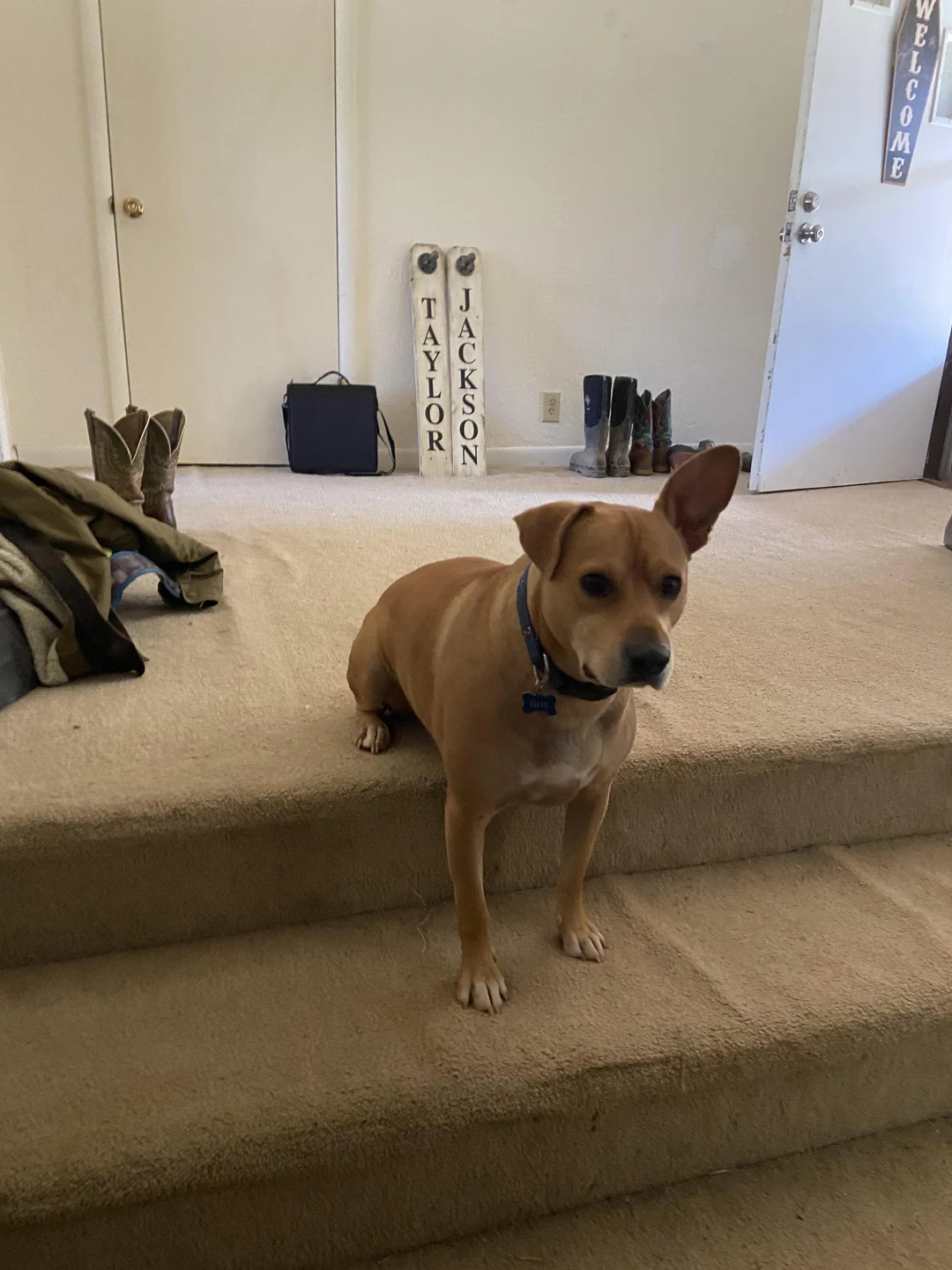 He stayed like this for a while. Gus being goofy | Scrolller