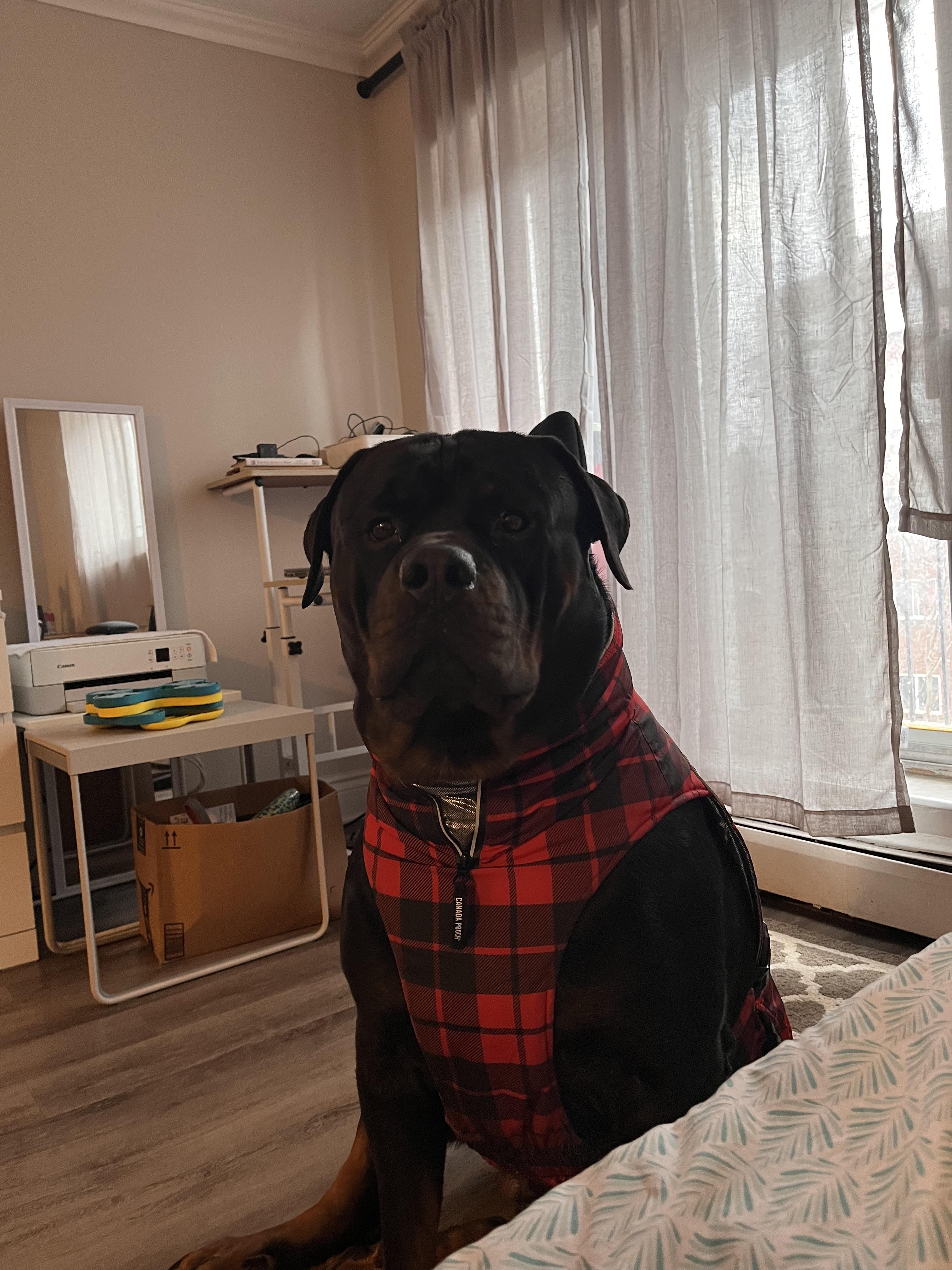 What now ? — Cooper | Scrolller