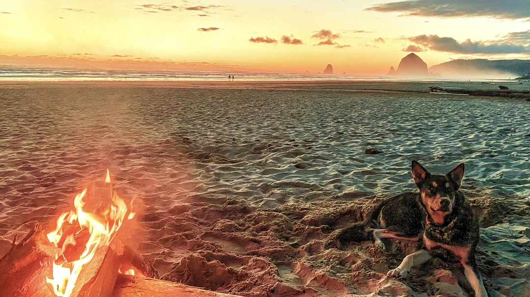 Echo @ Canon Beach, OR | Scrolller