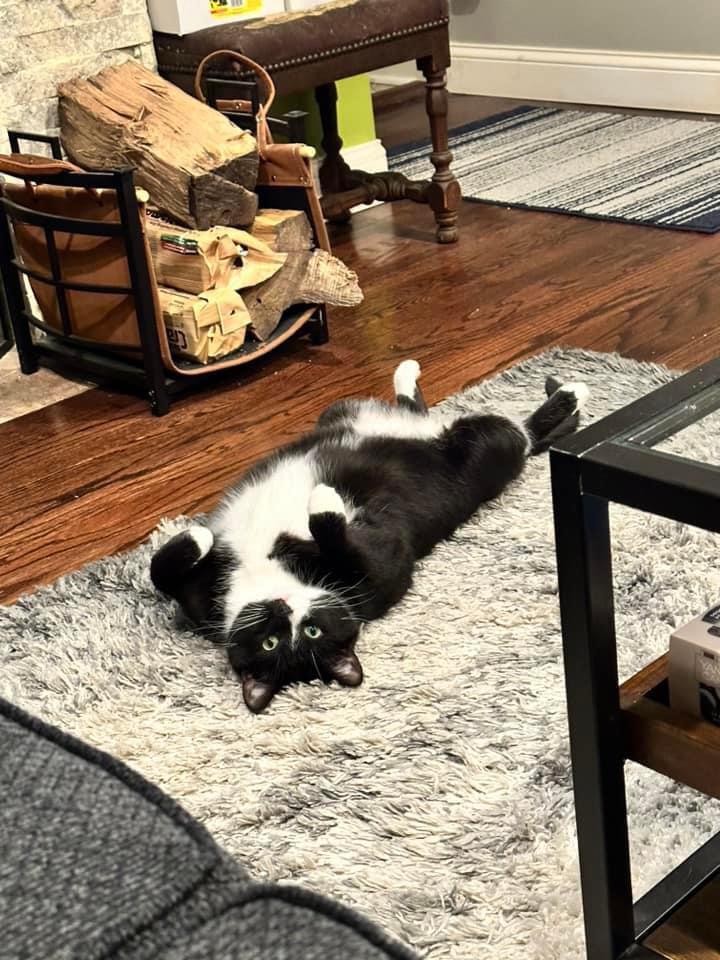 Chillin’ | Scrolller