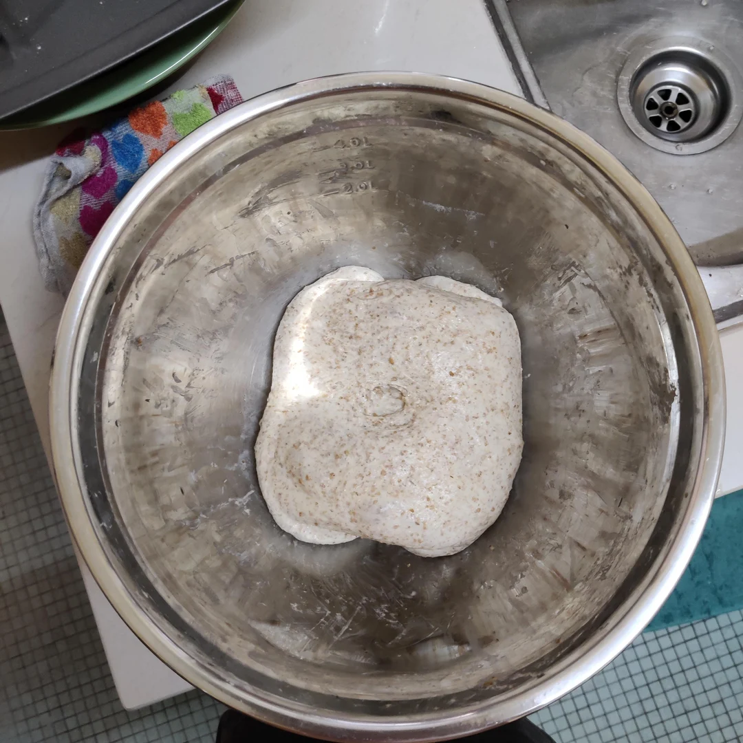 Dough tore during last coil fold. Details in comment 🙏 | Scrolller