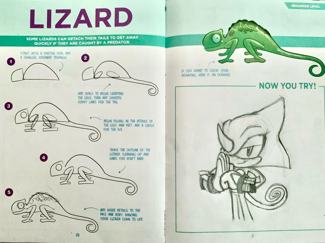 How to Draw a Lizard | Scrolller