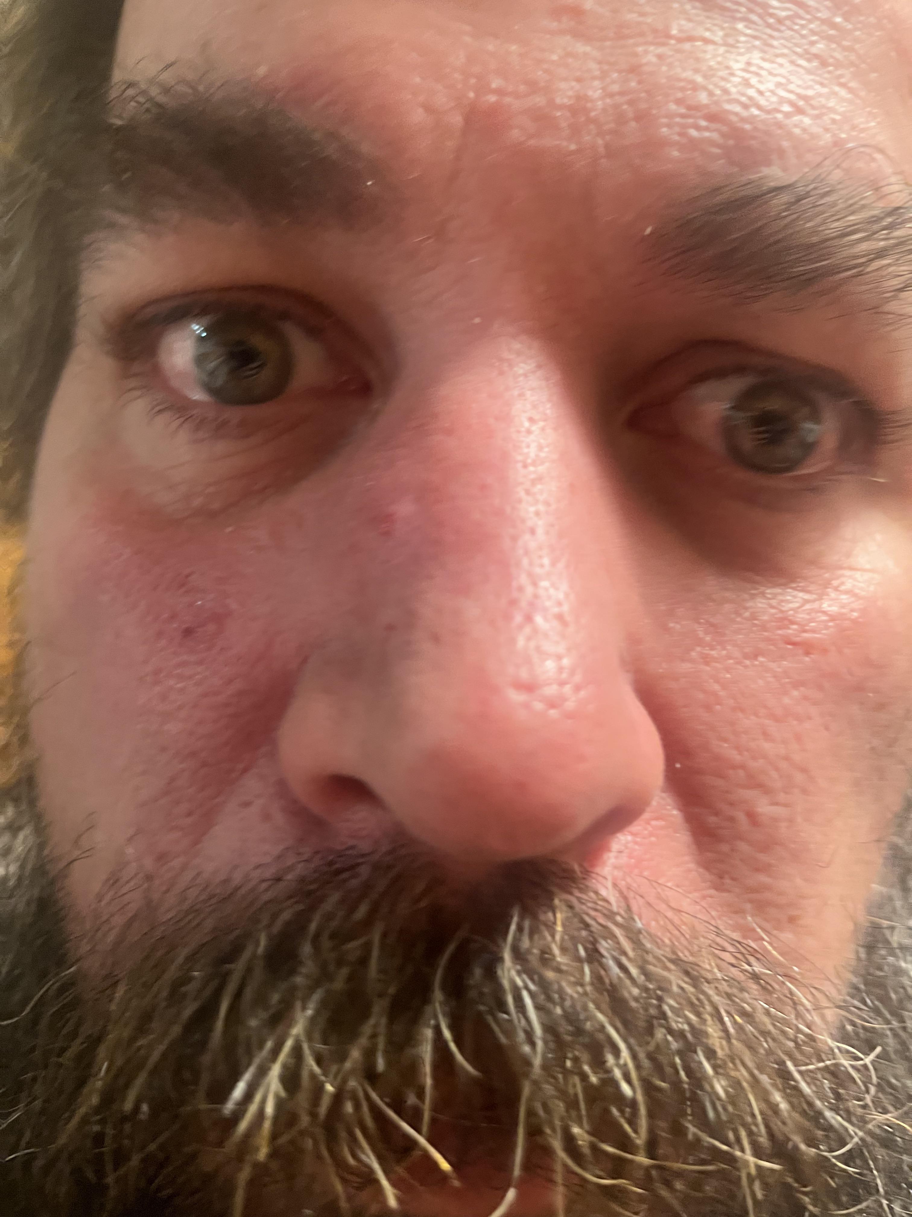 Grasshopper | Scrolller